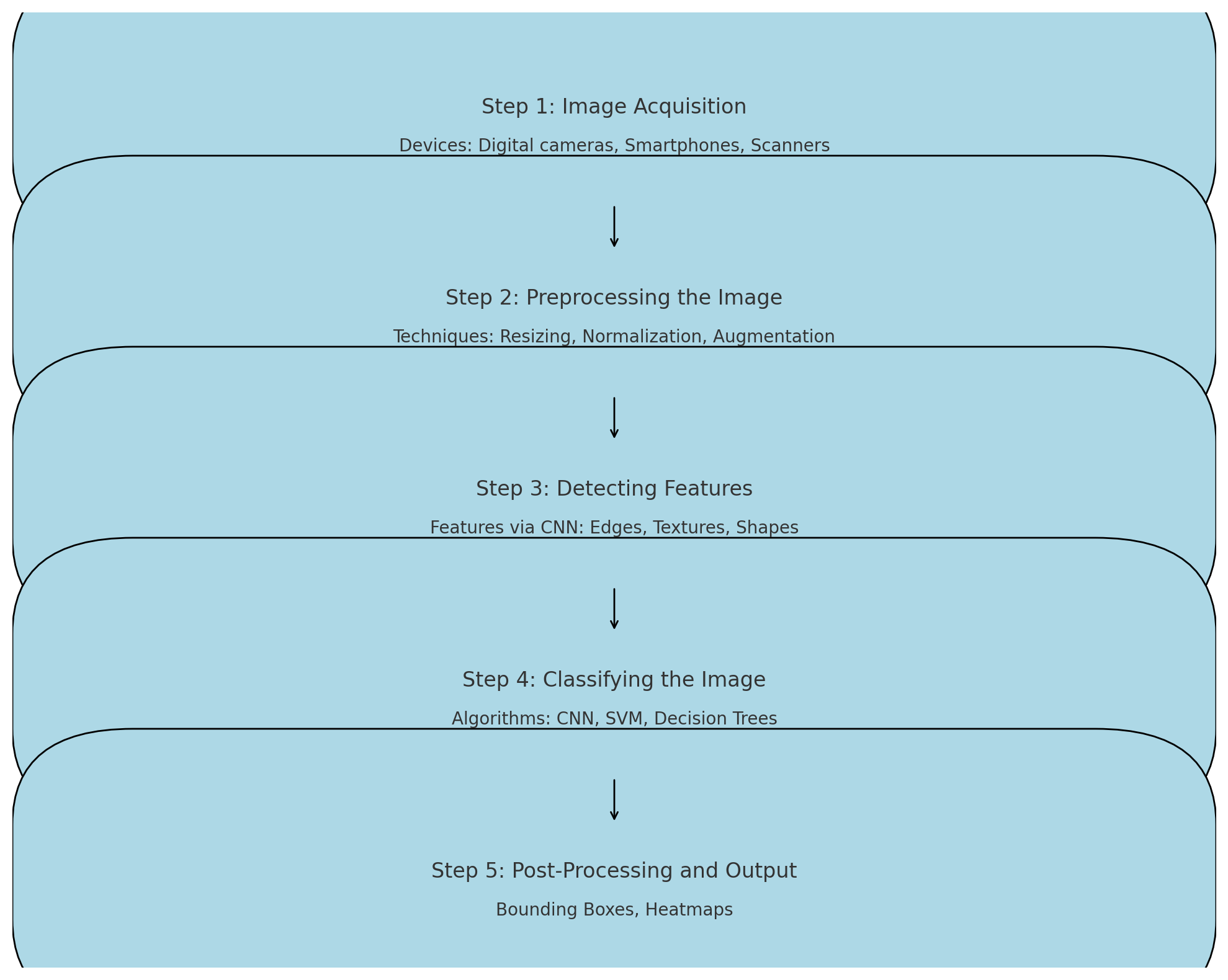Unlocking The Secrets: How Does Image Recognition Work In AI? (And Why ...